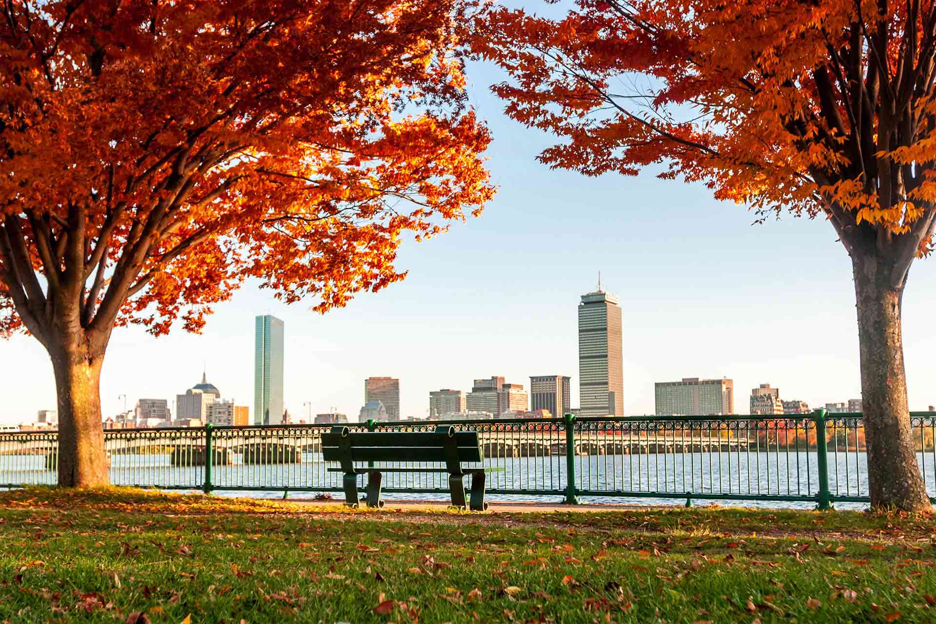 Fall River, MA Animal And Pest Control — Spartan Animal & Pest Control