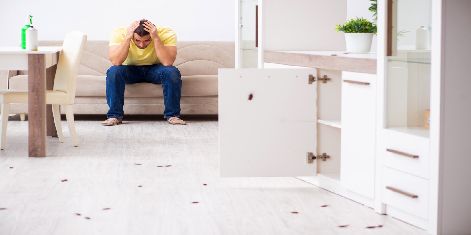 How To Prevent Fall Bugs From Invading Your House This Season